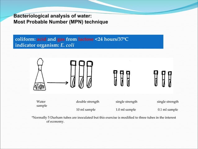 4. Final - Microbiological Analysis of water.ppt