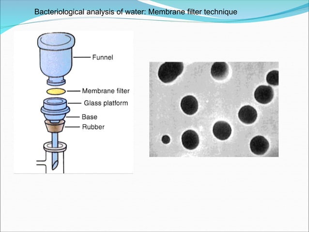 4. Final - Microbiological Analysis of water.ppt
