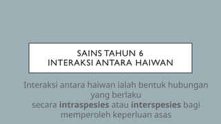 4. SAINS TAHUN 6 INTERAKSI ANTARA HAIWAN DAN TUMBUHAN.pptx