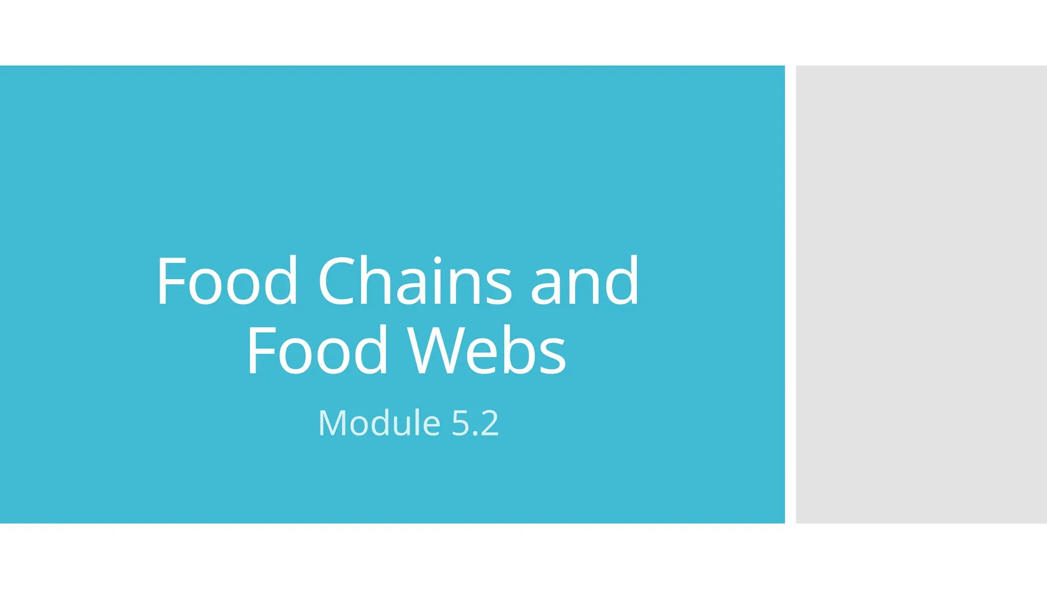 4.food_chains_and_food_webs.pptx for age | PPTX