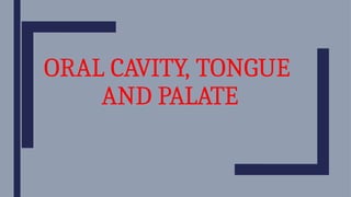 4. Oral Cavity anatomy ,vasculation and lympatic drainage | PPTX | Ear ...