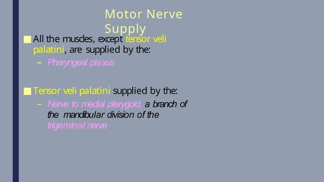 4. Oral Cavity anatomy ,vasculation and lympatic drainage | PPTX | Ear ...