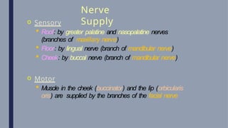 4. Oral Cavity anatomy ,vasculation and lympatic drainage | PPTX | Ear ...