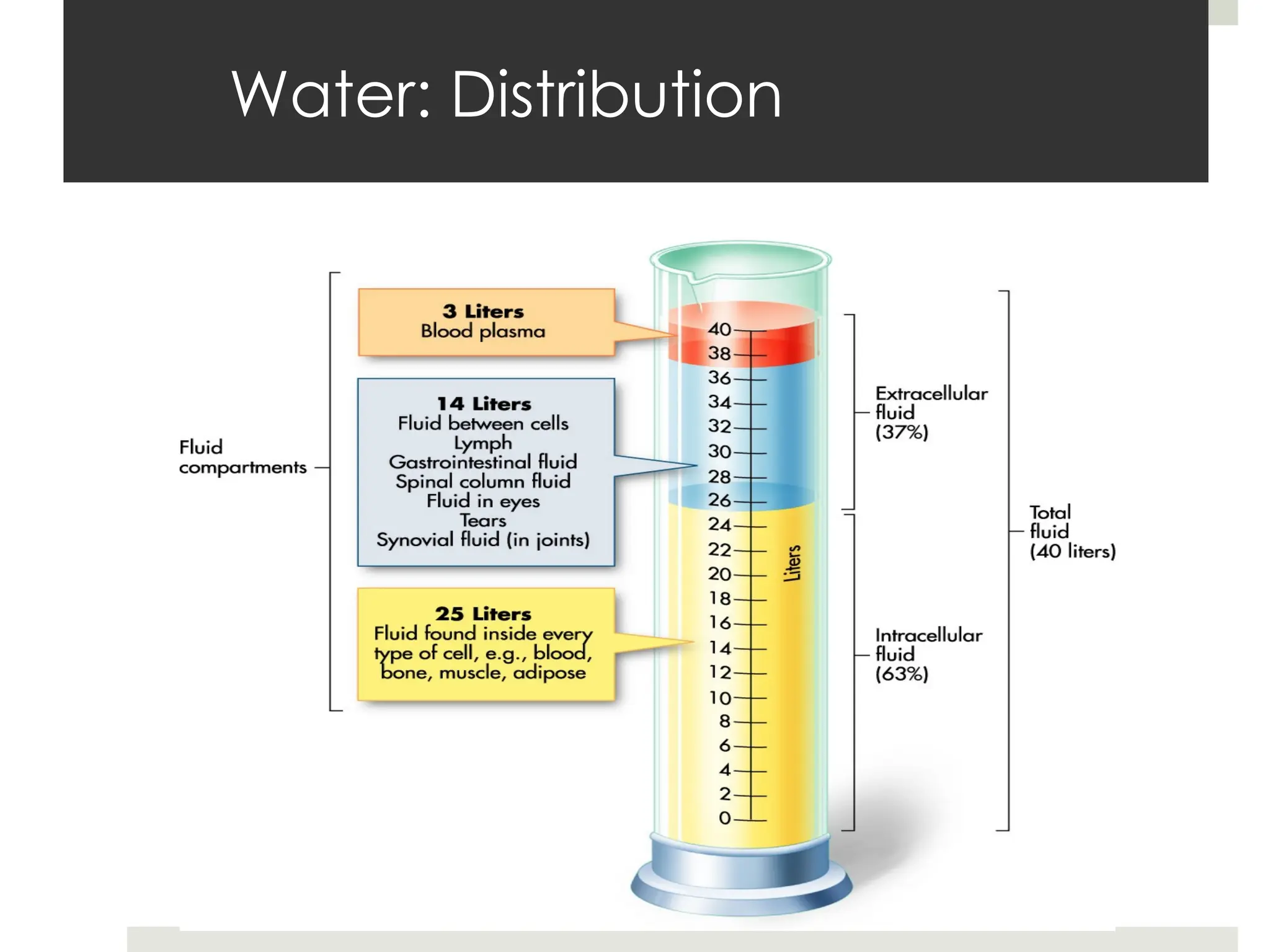 4. Water characteristics and importance | PPTX