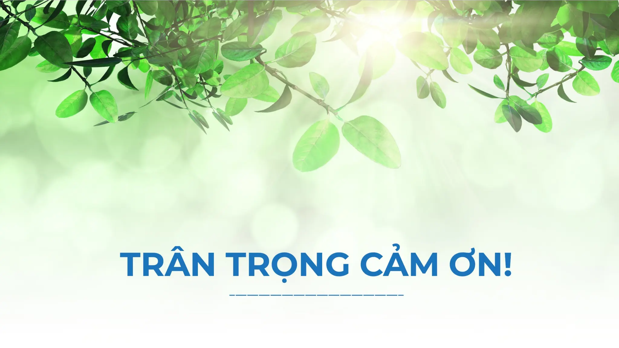 thuoc la ong ba và thuoc dien tu con chau | PPTX