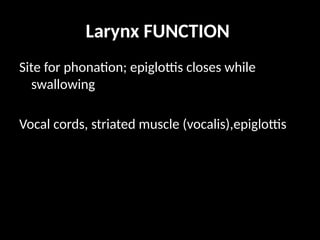 4. Respiratory system university of health science .pptx