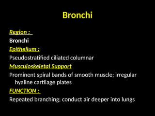 4. Respiratory system university of health science .pptx