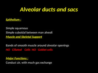 4. Respiratory system university of health science .pptx