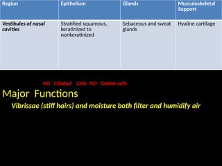 4. Respiratory system university of health science .pptx