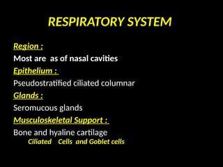 4. Respiratory system university of health science .pptx