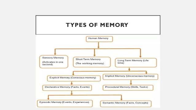 Memory and forgetting in Educational psychology | PPTX