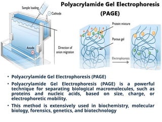 4. Electrophorosis.pptx Dr Thirunahari Ugandhar | PPTX