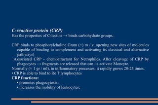 Regulation of the immune response in humanbody.ppt