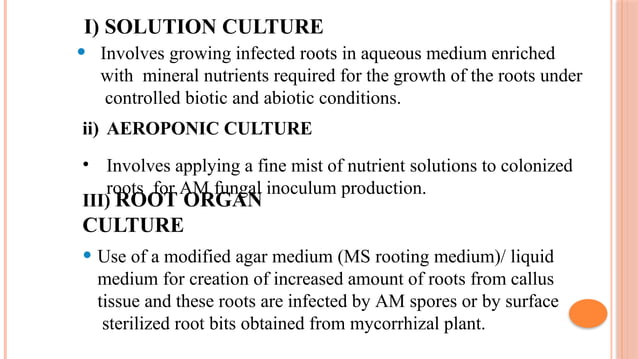 4.-Mass-production-of-AM-inoculants.pptx