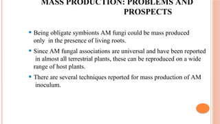 4.-Mass-production-of-AM-inoculants.pptx