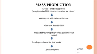 4.-Mass-production-of-AM-inoculants.pptx