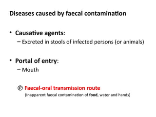 4.Disease spread by faecal contamination.pptx