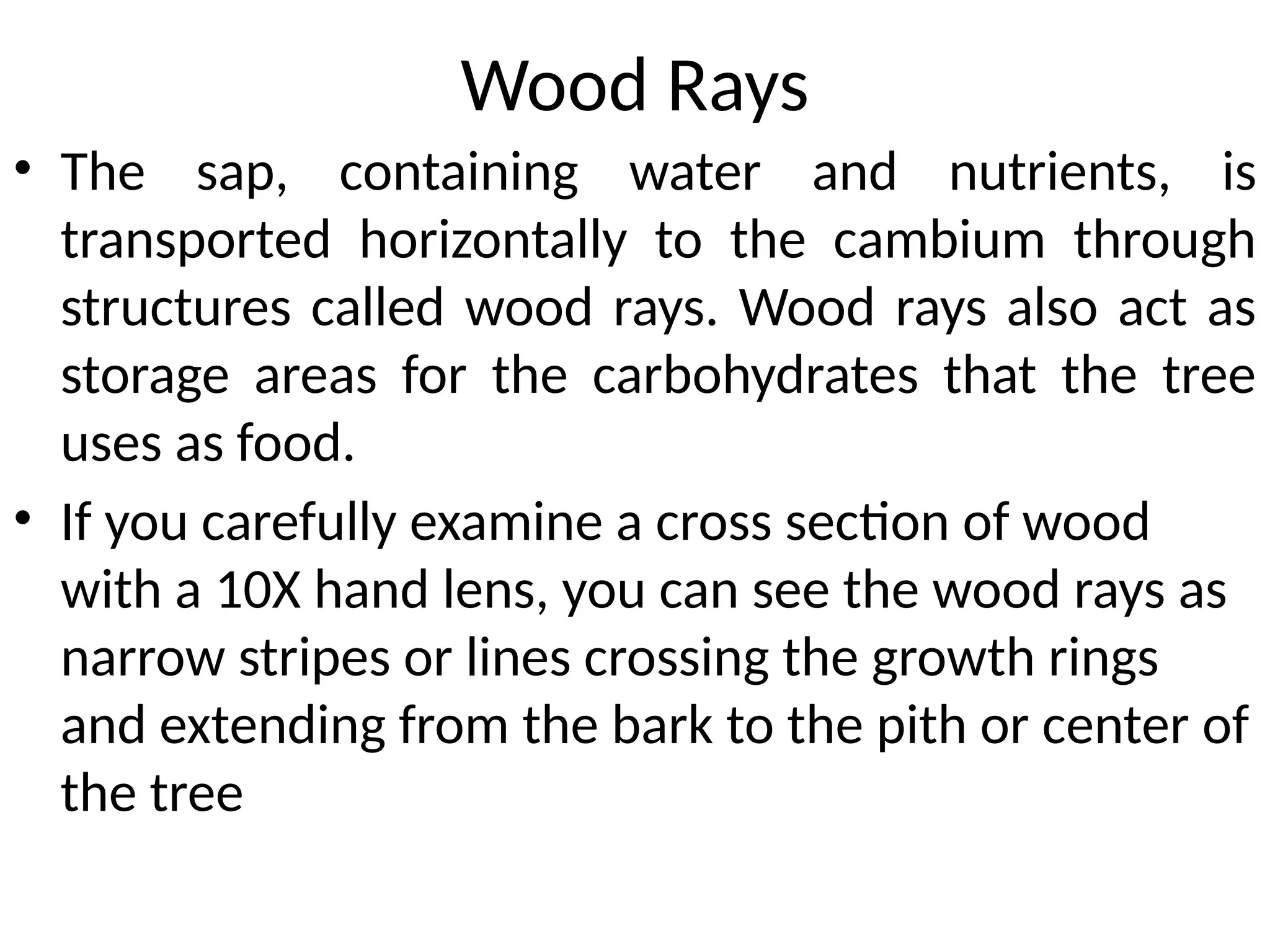 4. How does a tree works!!!!........pptx