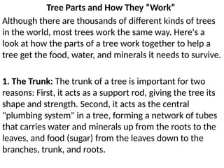 4. How does a tree works!!!!........pptx