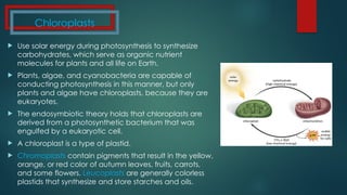4. The Cell-structure and main organelles | PPTX