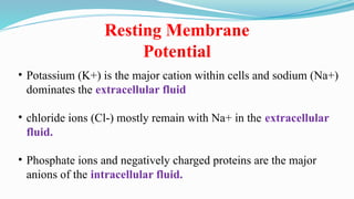 4. Membrane Potential and Action Potential (1).pptx