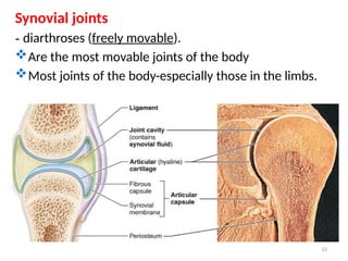 4. anatomy of Joints and Suporting structures.pptx