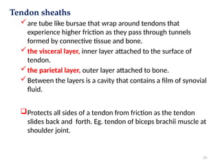 4. anatomy of Joints and Suporting structures.pptx