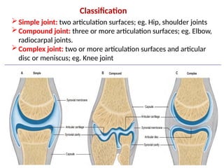 4. anatomy of Joints and Suporting structures.pptx