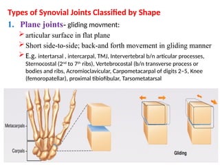 4. anatomy of Joints and Suporting structures.pptx