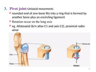 4. anatomy of Joints and Suporting structures.pptx