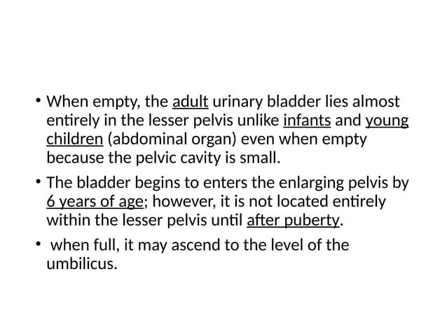 4.URINARY BLADDER AND URETHRA human anatomy.pptx