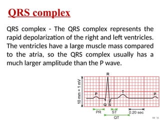 4. Cardiac cycle.pptx cardiovascular system | PPTX