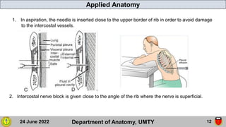 4.Intercostal space of thorax anatomy human | PDF