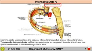 4.Intercostal space of thorax anatomy human | PDF