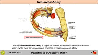 4.Intercostal space of thorax anatomy human | PDF