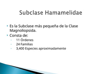 caracteristicas clave de para el buen uso HAMAMELIDAE | PPT