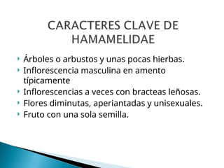 caracteristicas clave de para el buen uso HAMAMELIDAE | PPT