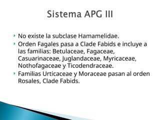 caracteristicas clave de para el buen uso HAMAMELIDAE | PPT
