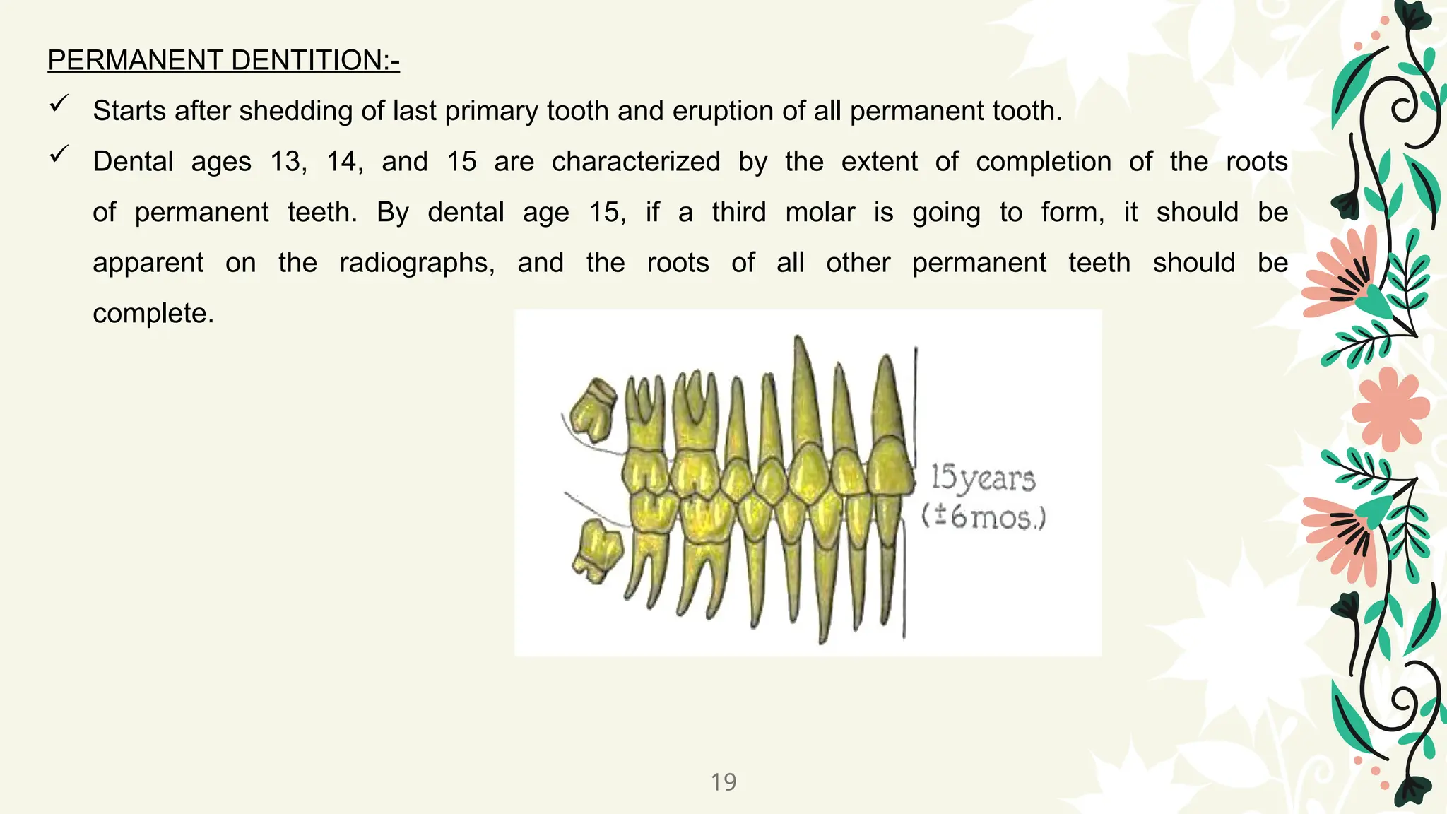 4. development of occlusion seminar.pptx
