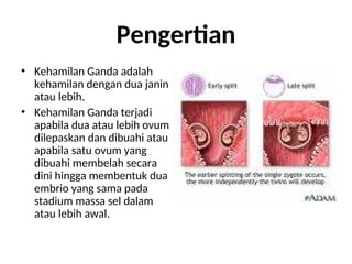 kehamilan ganda atau multople pregnancys | PPT