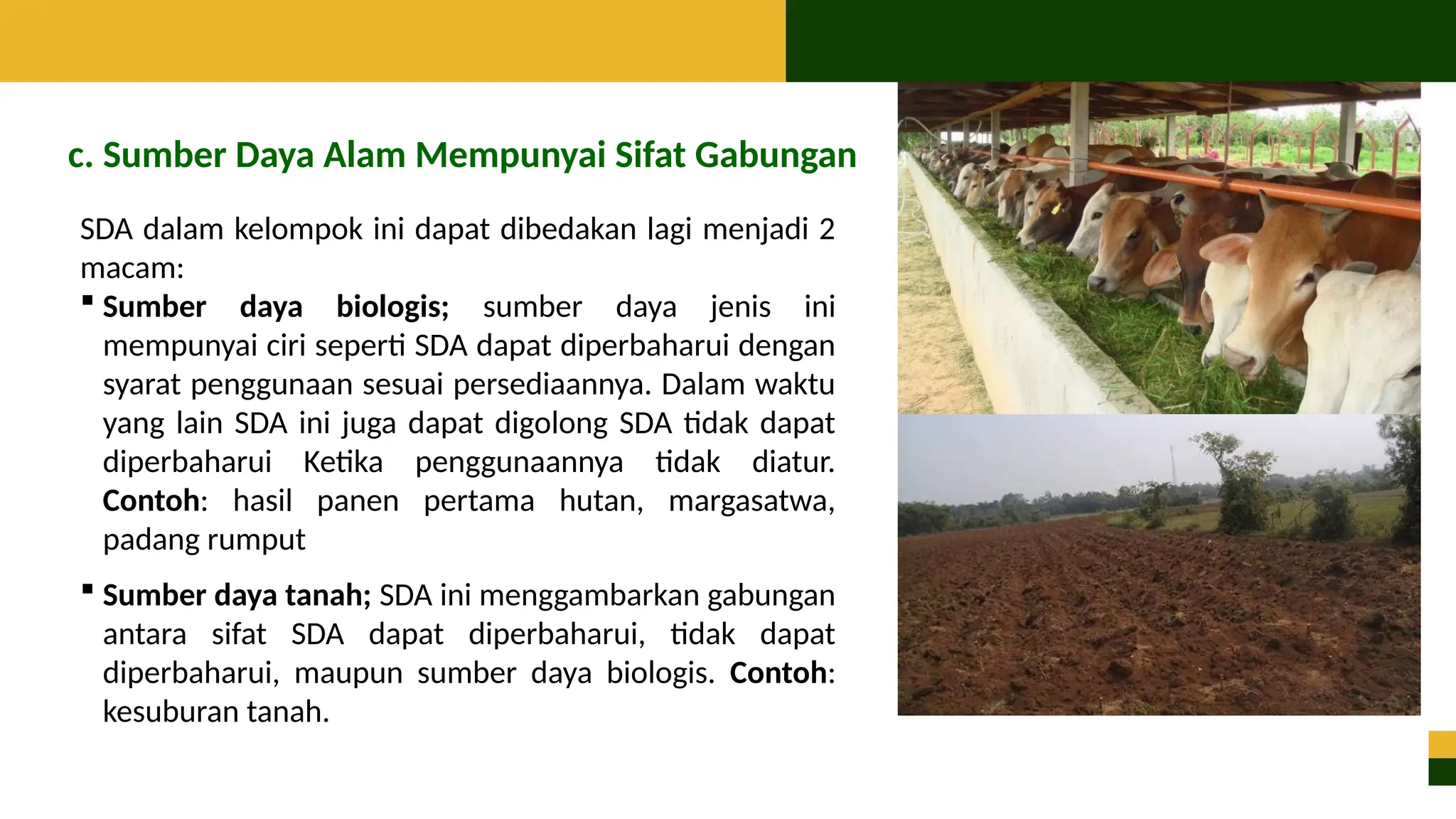 4. KLASIFIKASI SUMBER DAYA ALAM DAN HUBUNGAN SATU SAMA LAIN.pptx