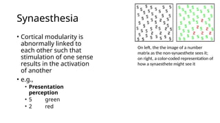 4. Visual Processing in the Extrastriate Cortex.pptx