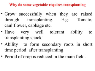 4. Nursery raising of fruits and vegetable crops.pptx