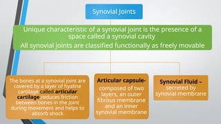explanation types of joints in skeletal sysytem | PPTX