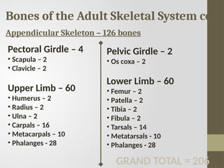 0000001244. THE HUMAN SKELETAL SYSTEM.pptx