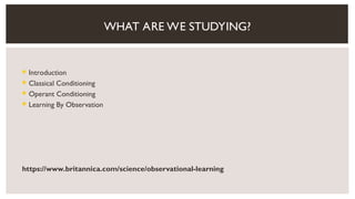 Presentation: The Concept of Learning.ppt
