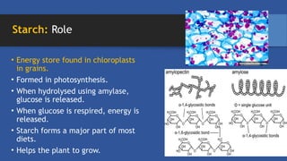 4. Aspects of Biochemistry - Polysaccharides.pptx