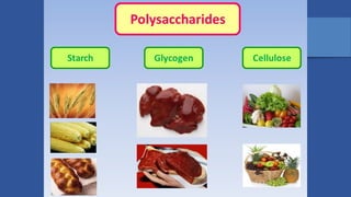 4. Aspects of Biochemistry - Polysaccharides.pptx