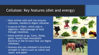 4. Aspects of Biochemistry - Polysaccharides.pptx