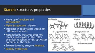 4. Aspects of Biochemistry - Polysaccharides.pptx